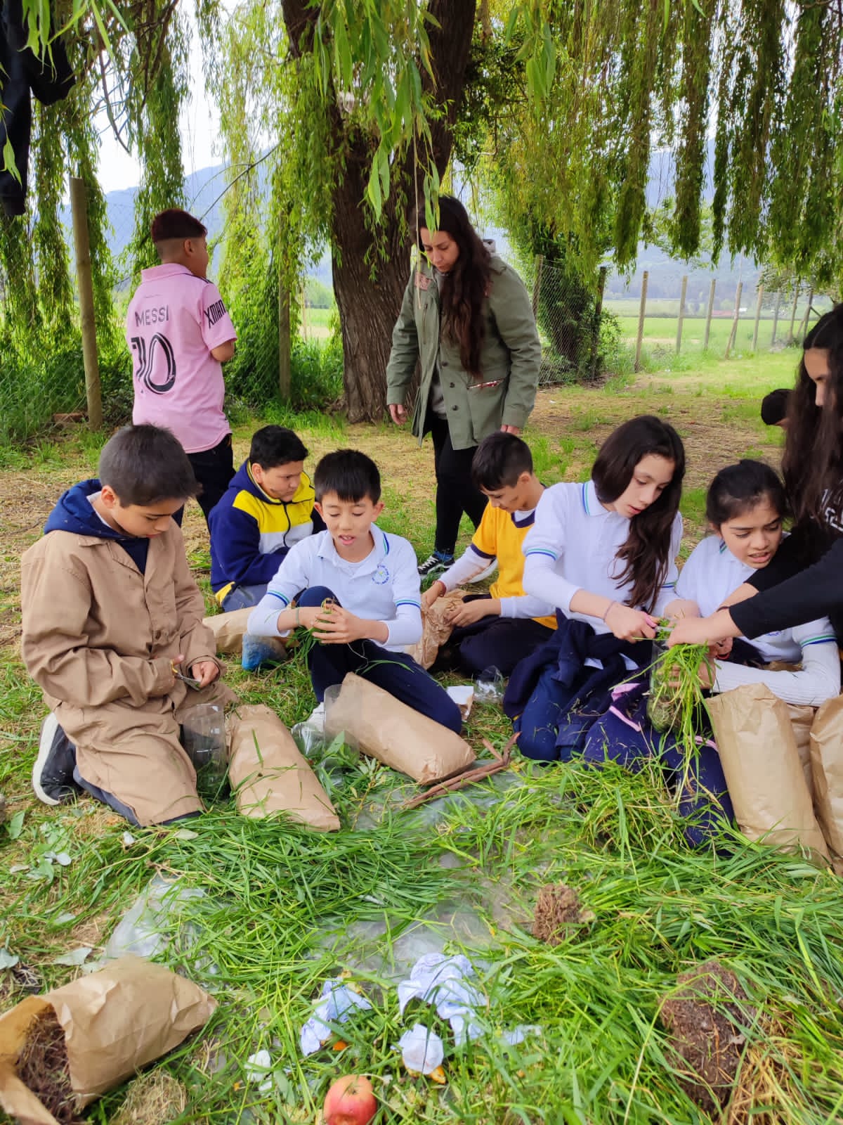Proyecto educativo ambiental desarrollado por Pro O’Higgins y ...